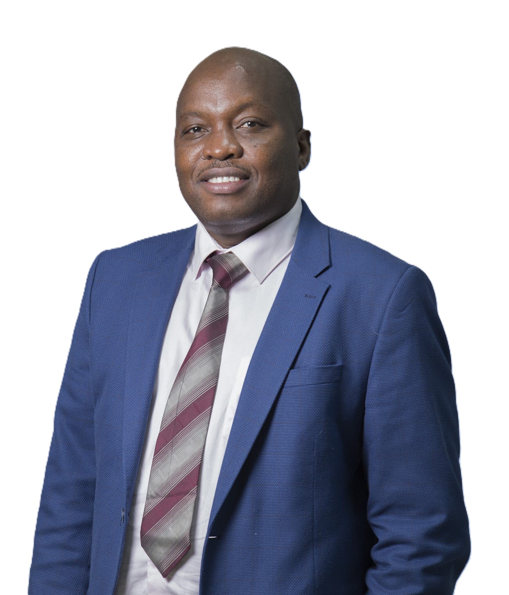 Portfolio Widget - Meds